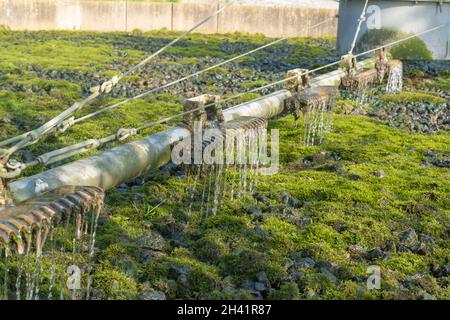 Rotary arm turning over biological filter bed, sewage treatment works ...