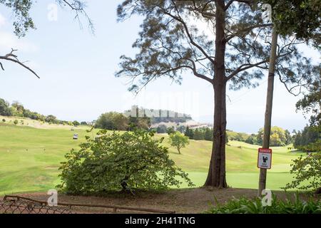 Palheiro Golf Course, Funchal, Madeira Stock Photo - Alamy