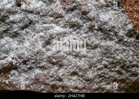 Crease Limestone - an oolitic limestone -; changed into a coarse ...