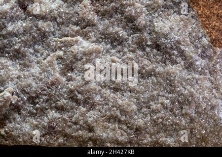 Crease Limestone - an oolitic limestone -; changed into a coarse ...