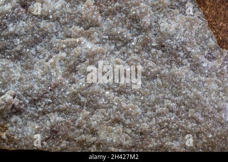 Crease Limestone - an oolitic limestone -; changed into a coarse ...