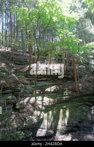 Upper river boat tour, Wisconsin Dells, Wisconsin Stock Photo - Alamy
