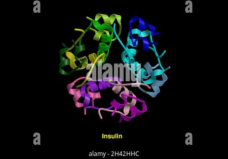 molecular model of insulin molecule Stock Photo - Alamy