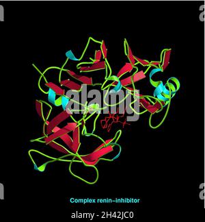 Molecular model of renin inhibitor Stock Photo - Alamy