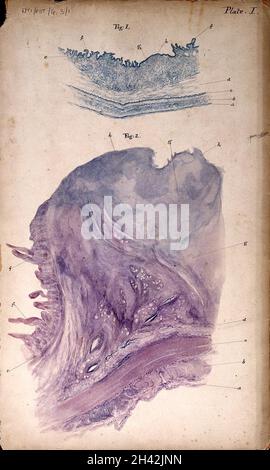 Lady Mary Bruce Stock Photo - Alamy
