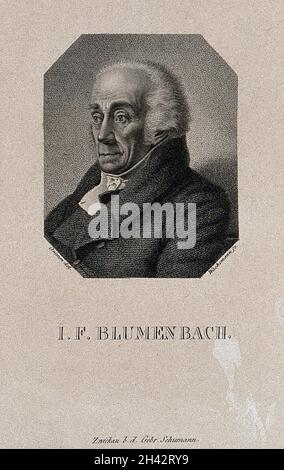 Johann Friedrich Blumenbach. Stipple engraving by Wiederhold [?] Stock ...