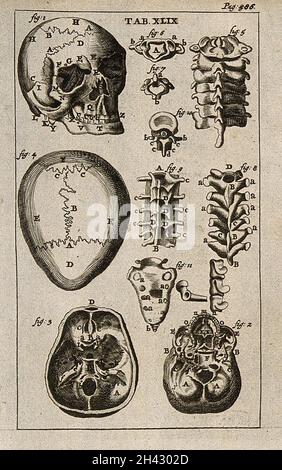 Human skull bones anatomy diagram illustration Stock Photo - Alamy