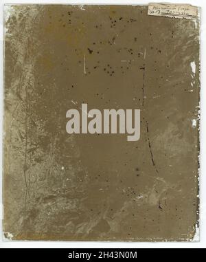 Photographic documentation of indigenous people of Taiwan, illustrating ...