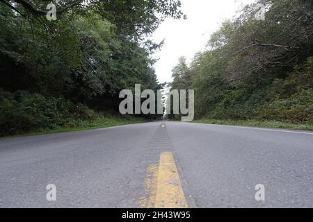 The rugged Washington coast provides miles of quiet beaches and sandy ...