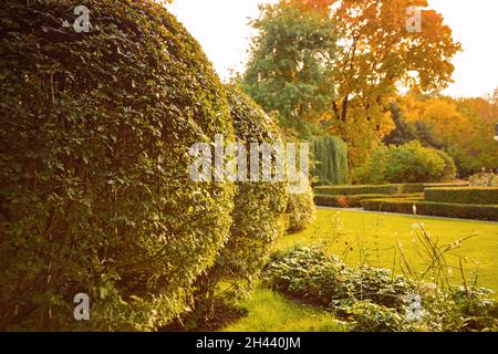 Beauty autumnal banner with falling leaves for your design Stock Photo ...