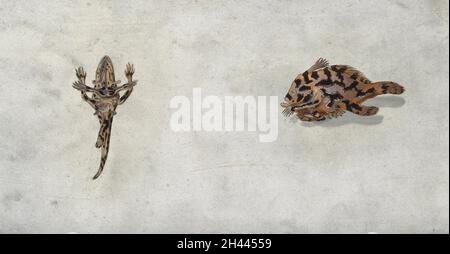 Two fish. Watercolour drawing Stock Photo - Alamy