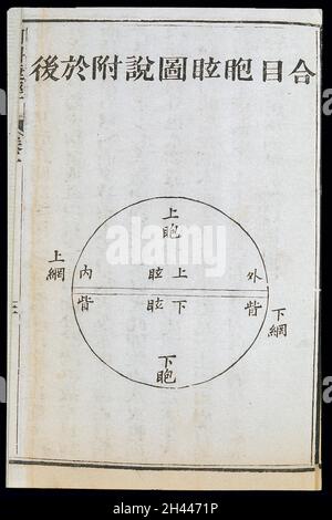 C19 Chinese eye diagnosis chart showing Yin and Yang division Stock ...