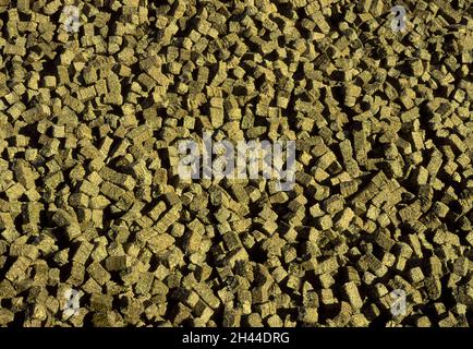 Horse Food, hay cube, hay cubes Stock Photo - Alamy