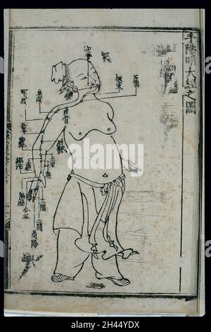 Acupuncture chart, large intestine channel of hand yangming Stock Photo ...