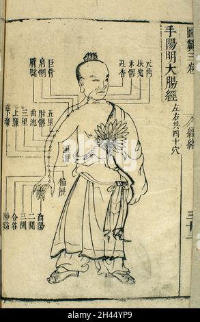 Acupuncture chart, large intestine channel of hand yangming Stock Photo ...