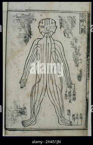 Bronze Man acupuncture figurine, front view, Chinese woodcut Stock ...