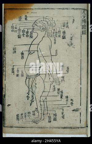 Acupuncture chart, bladder channel of foot taiyang, Chinese Stock Photo ...