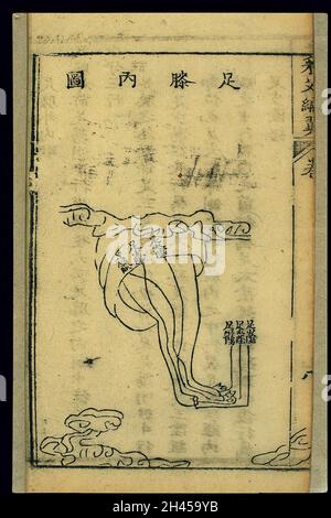 Chart of the three hand yin channels, Chinese woodcut Stock Photo - Alamy