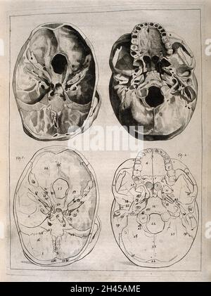 Human skull, seen from above. Line engraving, 1780/1800 Stock Photo - Alamy