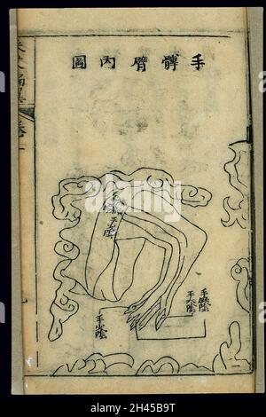 Chart of the three hand yin channels, Chinese woodcut Stock Photo - Alamy