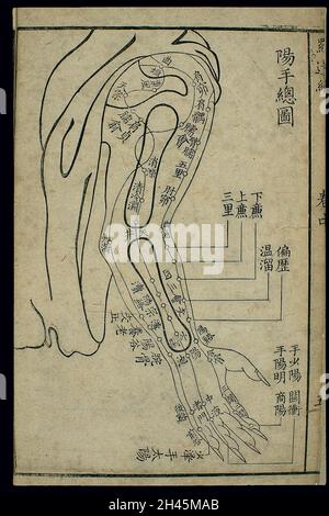 Chart of the three hand yang channels, Chinese woodcut Stock Photo - Alamy