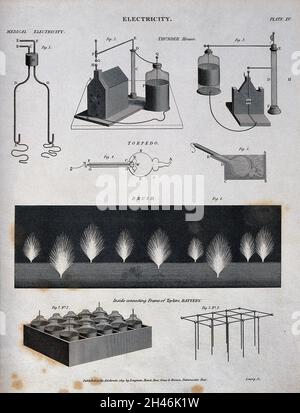 Electricity: electrical equipment, batteries, etc., and frogs' legs ...
