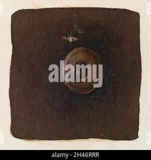 The cow pock Stock Photo - Alamy