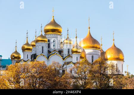 Cathedral of the Annunciation Blagoveshchensky view of the domes of the ...