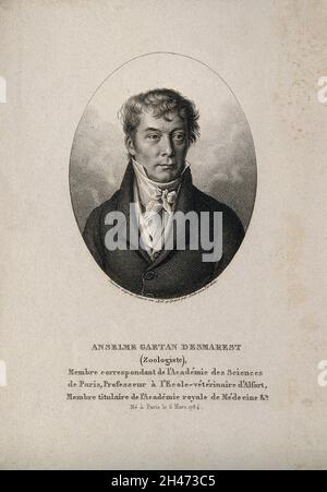 Portrait of the Anselme Gaetan Desmarest Stock Photo - Alamy
