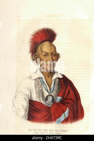 Indian Chief Black Hawk - Vintage Cigarette Card 02 Stock Photo - Alamy