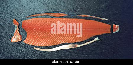 Salmon trimming. Spine removed, abdominal bones, rear fins, clavicle ...