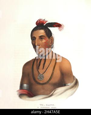 Vintage Lithograph "Red-Bird, A Winnebago" by McKenney & Hall. From ...