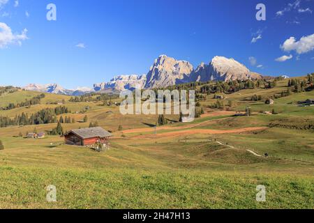 Alpine pasture Seiser Alm, Alpe di Siusi, in the Dolomites in summer ...