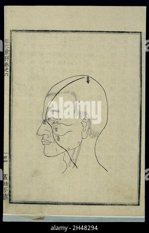 Acu-moxa chart: Liver channel in the thorax and abdomen Stock Photo - Alamy