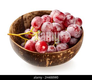 Brown ripe coconut fruit fall from coconut tree on ground in the garden ...