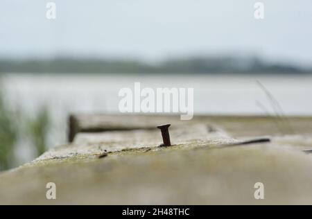 nail protruding from a board of a walkway Stock Photo - Alamy