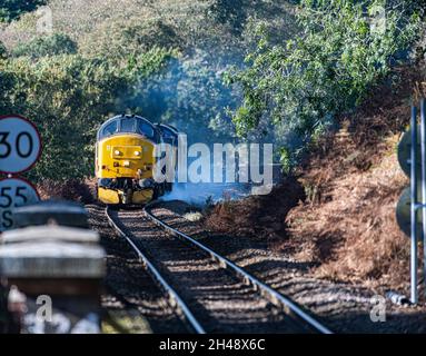 Class 37 Leaf clearing train Stock Photo - Alamy