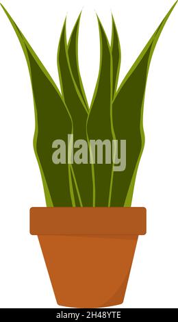 houseplant plant in pot Stock Vector Image & Art - Alamy