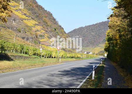 bike road next to Mosel valley road Stock Photo - Alamy