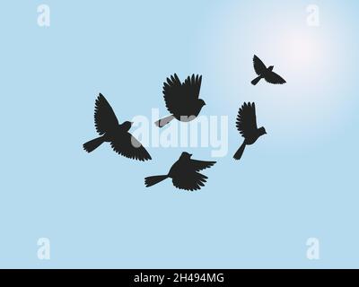 Cartoon flying bird. Birds flyng poses for movement and animation ...
