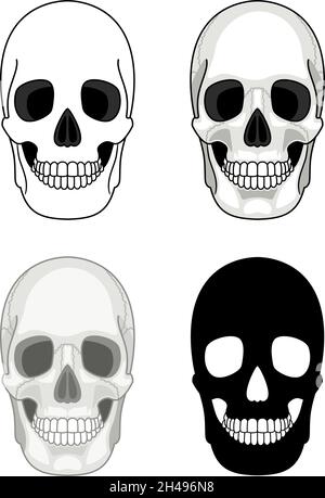 Simple skull. Doodles skulls vector cartoon illustration, line black ...
