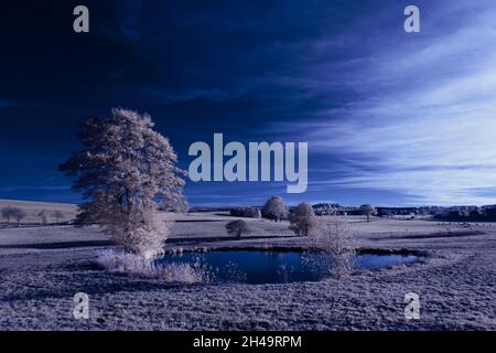 Infrared 720nm landscape with glowing white vegetation, surreal ...