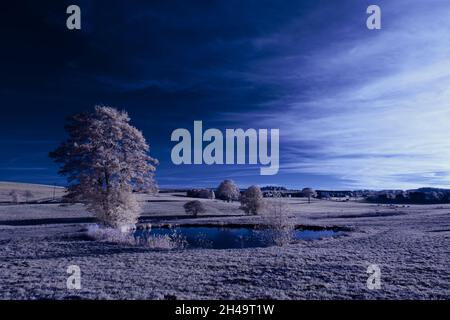 Infrared 720nm landscape with glowing white vegetation, surreal ...