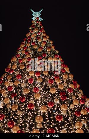 Very tall outdoor Christmas tree with lots of lights and globes Stock ...