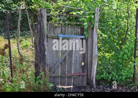 old and broken wooden gate in an overgrown garden leading to woods zala ...