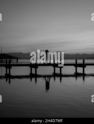 Munich, Deutschland. 02nd Nov, 2021. Hasan SALIHAMIDZIC (Sports ...