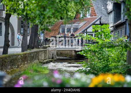 Bach Abzug, An der Abzucht, Goslar, Niedersachsen, Deutschland Stock ...