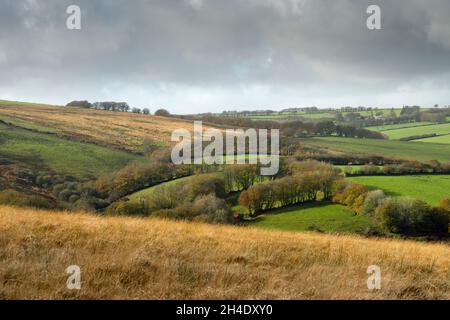 Withypool Common, Exmoor, Somerset, England, UK Stock Photo - Alamy