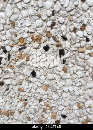 close-up of a wall covered with small stones Stock Photo - Alamy