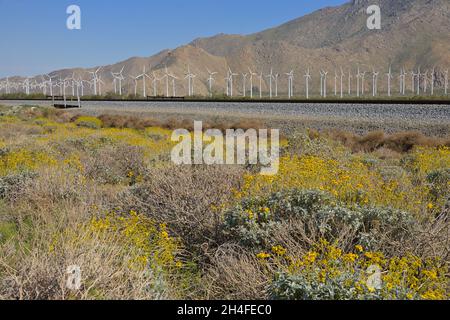 The immense San Gorgonio Pass wind farm, near Cabazon CA Stock Photo ...
